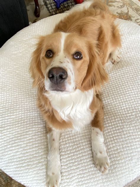 New Bed Album On Imgur