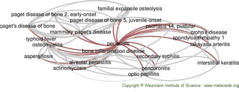 Periostitis Disease Malacards Research Articles Drugs Genes