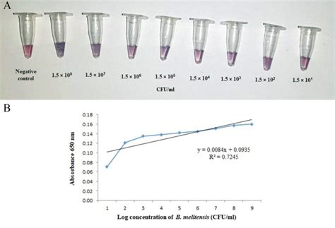 Rapid Detection Of Brucella Cells Using A Gold Nanoparticle Based Aptasensor Via A Simple
