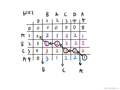 算法学习：动态规划 Csdn博客