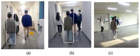 Sensors Free Full Text Spt Single Pedestrian Tracking Framework