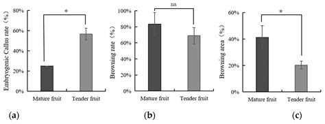 The Influence Of Maturity Storage And Embryo Size On Coconut Callus Induction Success