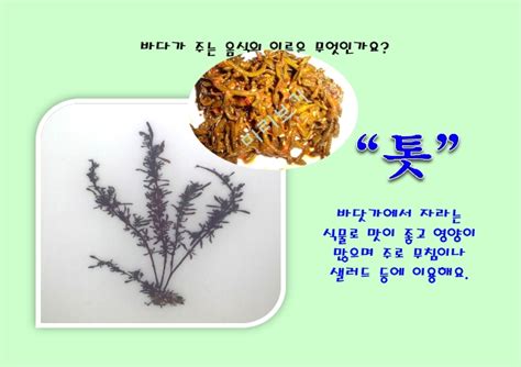 바다가 주는 음식 이야기나누기 상호작용 유아교육 바다생물사범교육레포트