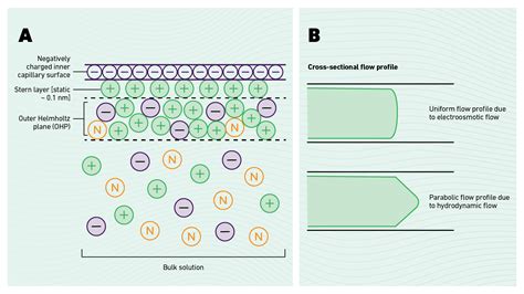 An Introduction To Capillary Electrophoresis Theory Practice And Applications Technology