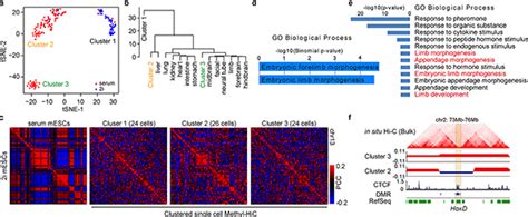 Joint Profiling Of Dna Methylation And Chromatin Architecture In Single