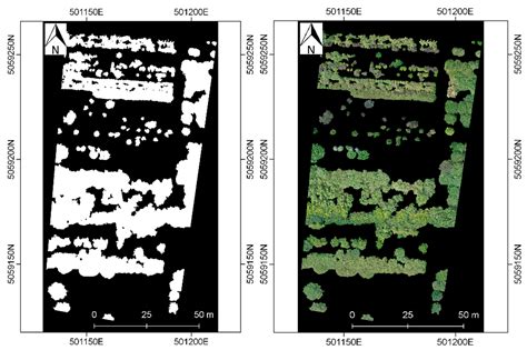 Improving Tree Species Classification Using Uas Multispectral Images And Texture Measures