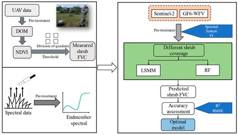 Is Spectral Unmixing Model Or Nonlinear Statistical Model More Suitable