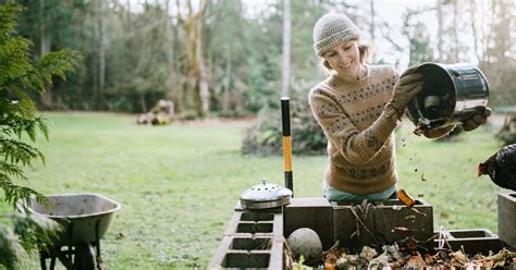 Composting Vs Recycling Whats Better