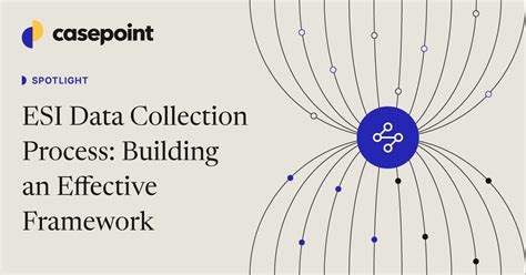 Esi Data Collection Process Building A Defensible Ediscovery Framework