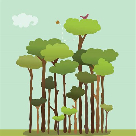 Tree Canopy J2s Presentation April 27 Real Rideau Environmental