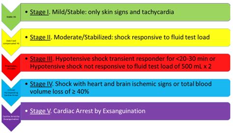 Diagnostic Classification Of Hemorrhagic Shock Download Scientific Diagram