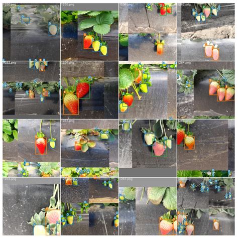 Real Time Detection Of Strawberry Ripeness Using Augmented Reality And Deep Learning Abstract