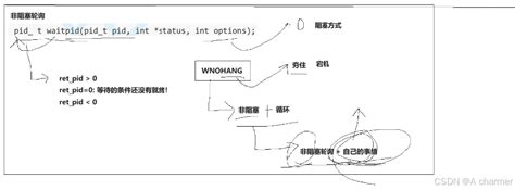 linux 进程控制：创建、终止、等待与程序替换全解析 linux fork 进程控制 csdn博客
