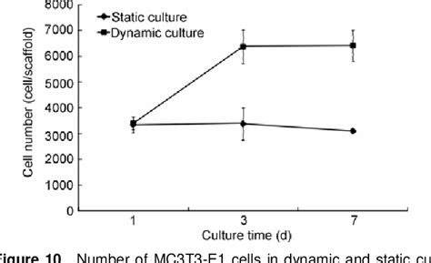 Figure 10 From Development Of A Hybrid Scaffold And A Bioreactor For