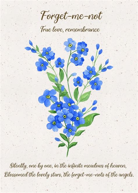 Forget Me Not Flower Meaning Artofit