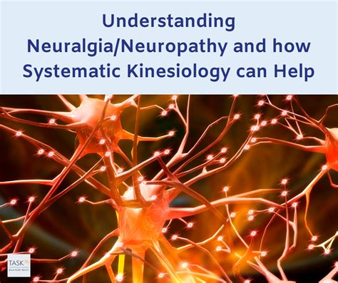 Understanding Neuralgia And Or Neuropathy And How Systematic Kinesiology Can Help The Academy