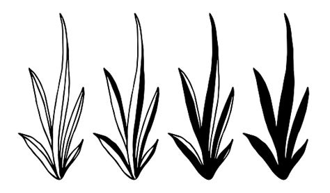 검은 윤곽선에 간단한 손으로 그린 벡터 그리기 긴 잎 요소 세트 실루엣과 흰색 배경에 고립 된 윤곽을 가진 열대 식물 실내 꽃 자연 식물 식물 0명에 대한 스톡 벡터 아트