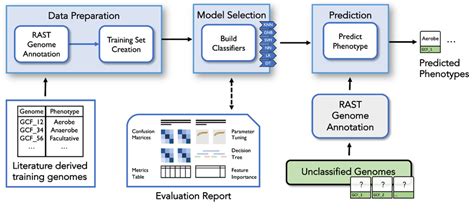machine learning based phenotype prediction literature derived genomes