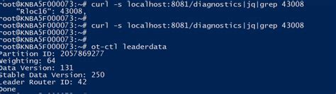 Missing Leader Node Info In Diagnostics Restful Api · Issue 8256 · Openthreadopenthread · Github
