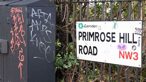 Primrose Hill Used To Be A List Paradise Now Its A Neanderthal