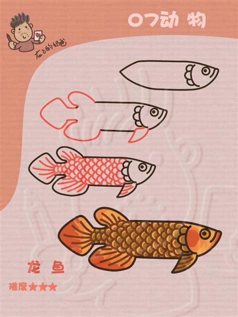 画金龙鱼简笔画简单画法简单（精选17张） 简笔画图片大全