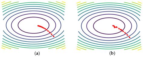 Mathematics Free Full Text Recent Advances In Stochastic Gradient