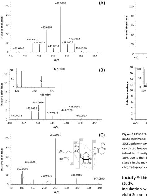 Figure 1 From Selenium Species Dependent Toxicity Bioavailability And Metabolic Transformations