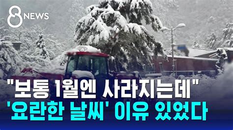 눈과 비 잦은 이번 겨울요란한 날씨 이유 있었다 Sbs 8뉴스 Youtube