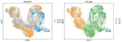 Gene Trajectory Python Tutorial Mouse Dermal Gene Trajectory