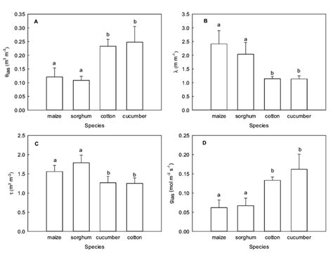 Leaf Microstructure Of Various Plant Species A Maize B Sorghum