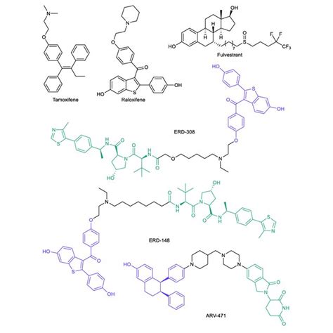 Key Er Small Molecule Inhibitors And Er Targeted Protacs Download