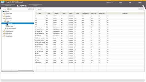 Sap Adaptive Server Enterprise Software Reviews Demo And Pricing 2024