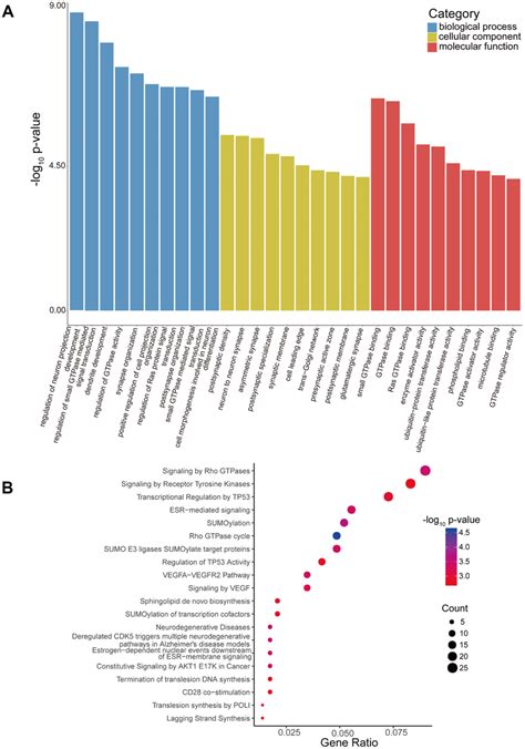 Go Enrichment And Reactome Pathway Analyses Of Host Genes Of