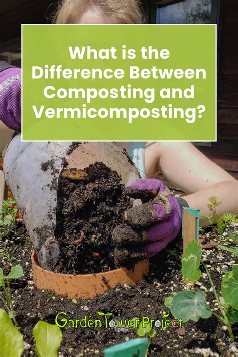 What Is The Difference Between Composting And Vermicomposting Vermicomposting Composting