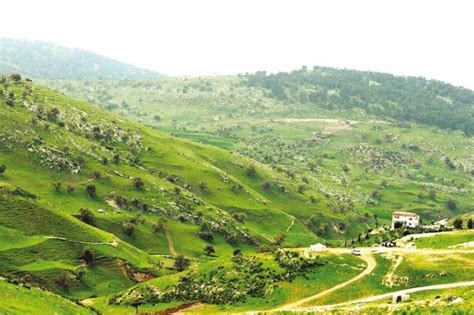 متى موعد انتهاء فصل الشتاء بالأردن فلكياً جراءة نيوز