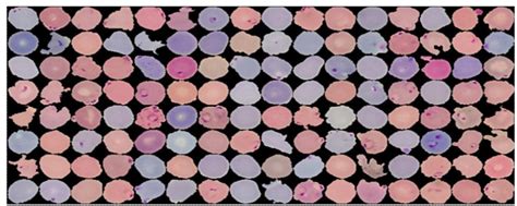 batch of 128 images from the dataset