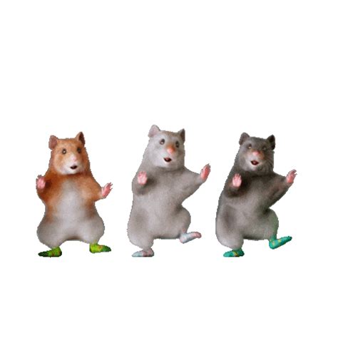 Hamster Dancing Stickers Find And Share On Giphy