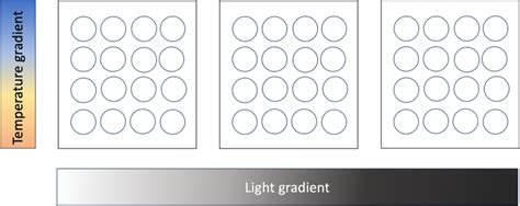 Diagrammatic Representation Of The Gradient Table Where Microscopic Download Scientific Diagram