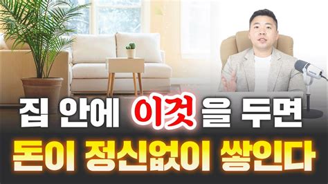 돈 들어오는 집이 되고 싶다면 집에 이것을 꼭 둬라 Youtube