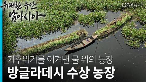 Full 특집 다큐 위대한 유산 남아시아 기후위기를 이겨낸 물 위의 농장 방글라데시 수상 농장 Youtube