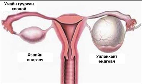 Алтан Наран эмэгтэйчүүдийн эмнэлэг 💖 Эмэгтэй хүнийг юу үзэсгэлэнтэй бас эрүүл байлгадаг вэ💖