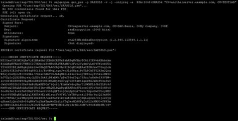 How To Sapgenpse Andy Niemann Andy Niemann Technology Services For Sap