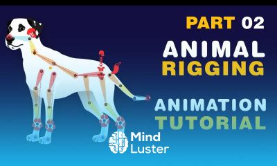 Learn DUIK 16 Animal Rigging Animation in After Effects Tutorial Part ...