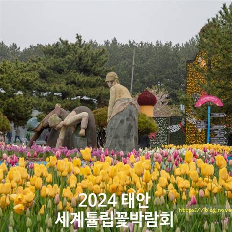 태안 가볼만한곳 우정 여행으로 가 본 2024 세계 튤립꽃 박람회 안면도 여행 코스로도 추천 네이버 블로그