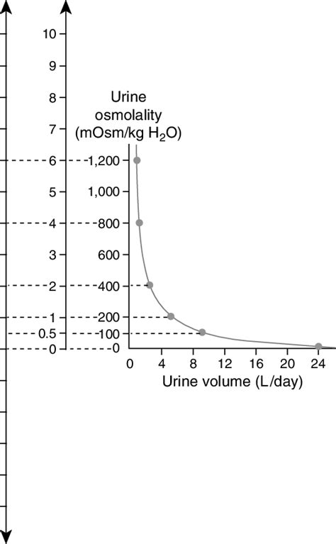 4 Normal Physiologic Relationships Among Ec Osmolality Adh Also Download Scientific Diagram