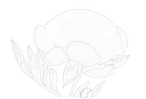 Как нарисовать цветок легко и просто поэтапный мастер класс для детей и начинающих 5 способов