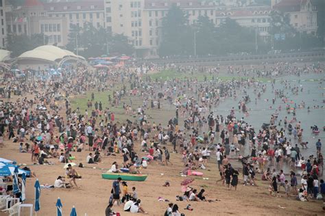 青岛海边游客爆满，人群和浒苔犹如紫菜饺子汤 搜狐大视野 搜狐新闻
