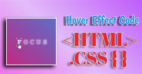 Amazing Focus Hover Effects With Html Css