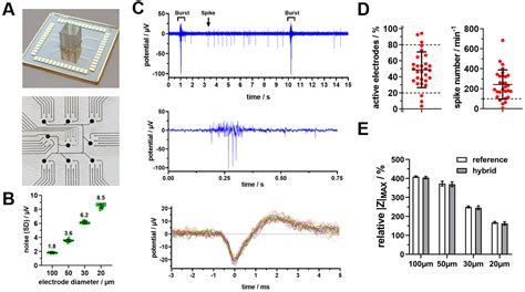 Biosensors Free Full Text Novel Multiparametric Bioelectronic