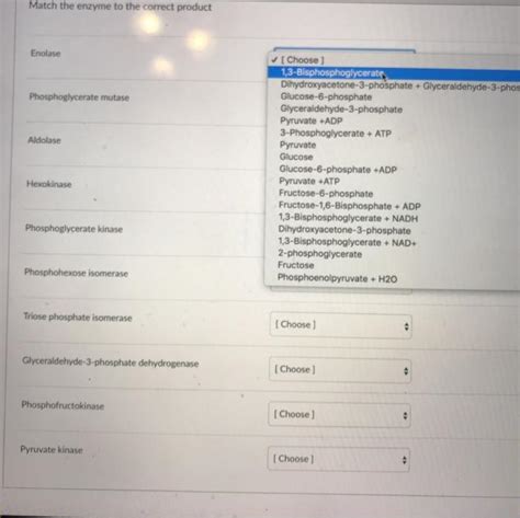Solved Match Each Enzyme To The Correct Substrate